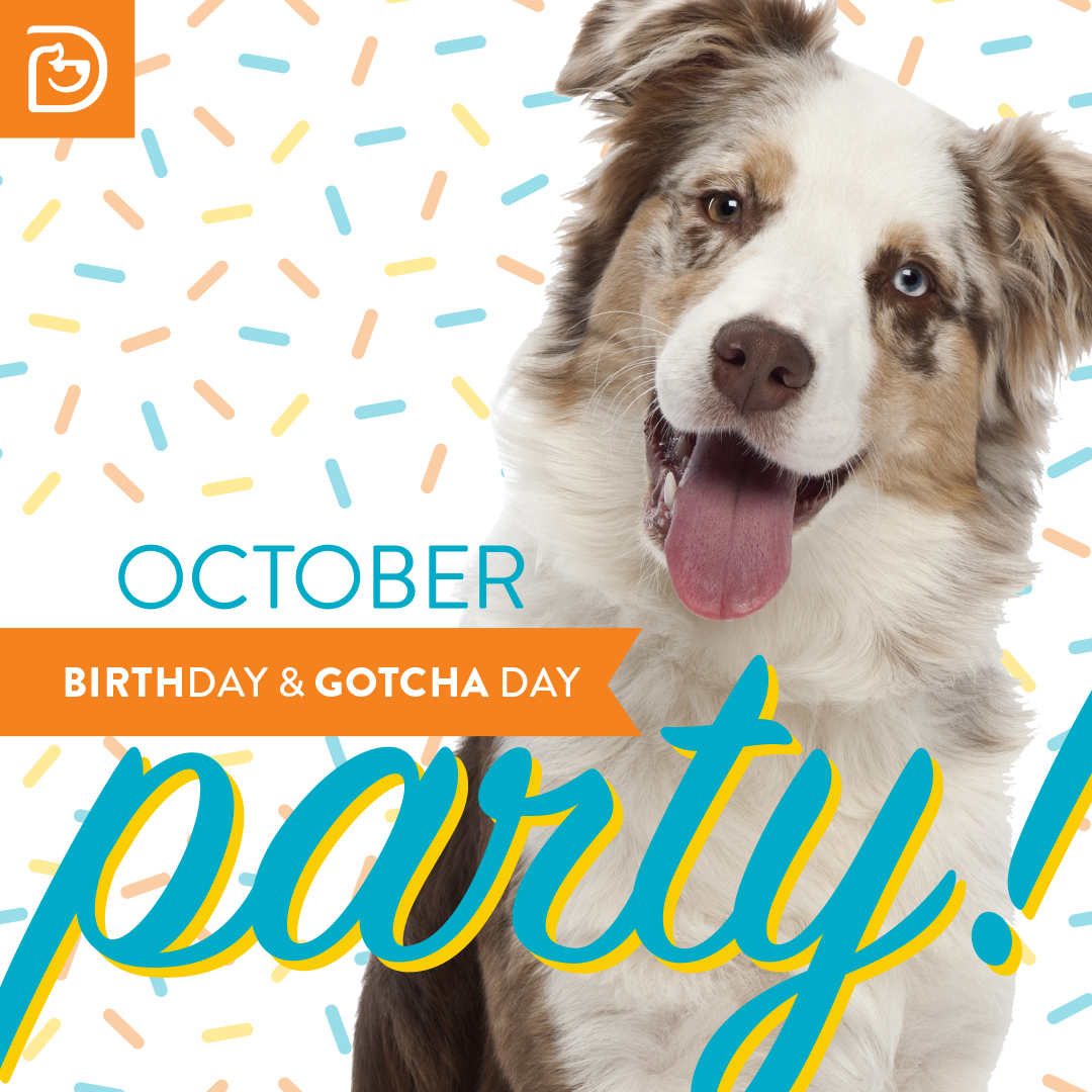 October Birthday/Gotcha Day Party - Thunderbolt
