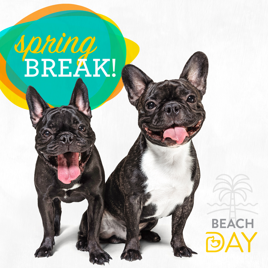 Spring Break Week: Beach Day Vacation Photos - Thunderbolt