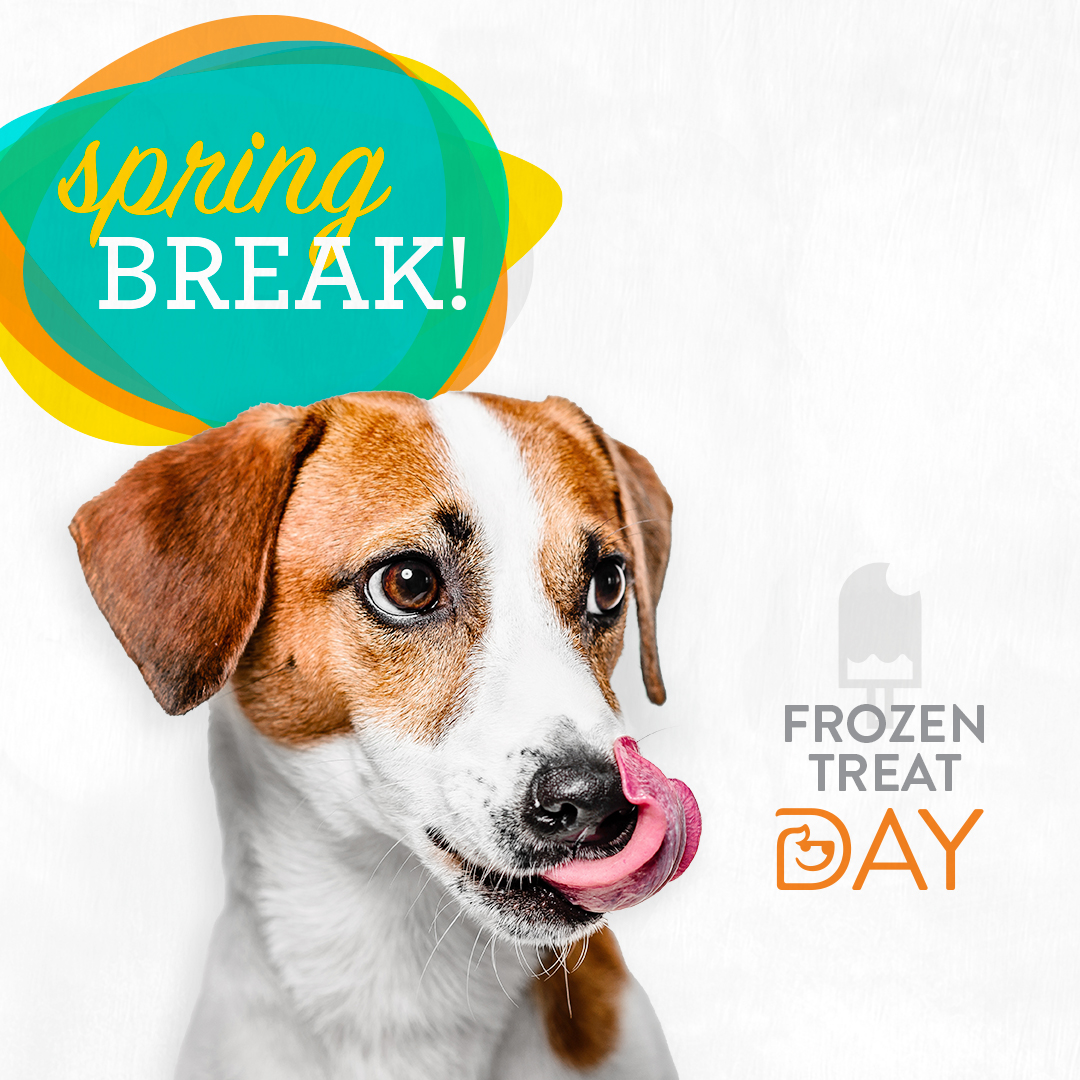 Spring Break Week: Frozen Treat Day - Thunderbolt