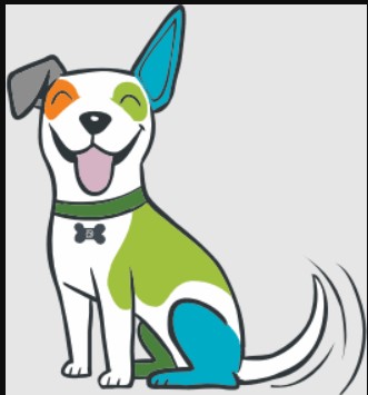 Dogtopia's 1st Birthday Photo Extravaganza - Thunderbolt