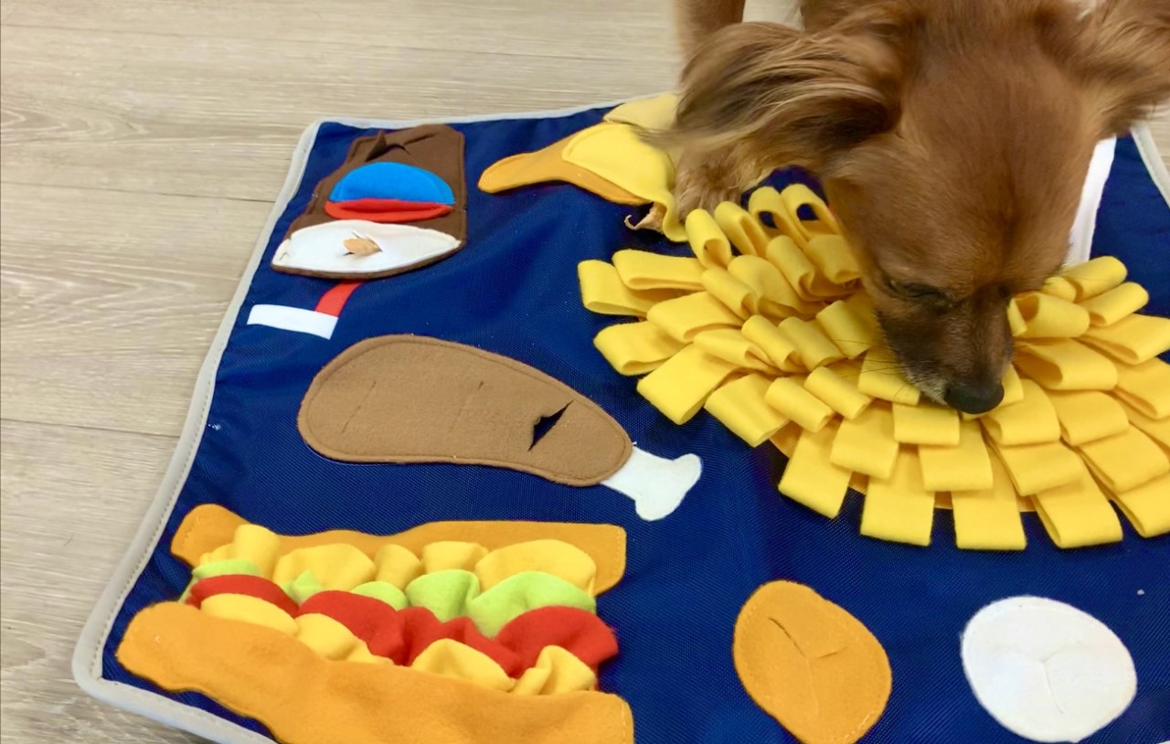 Summer Treat Week: Snuffle Mat Friday! - Thunderbolt