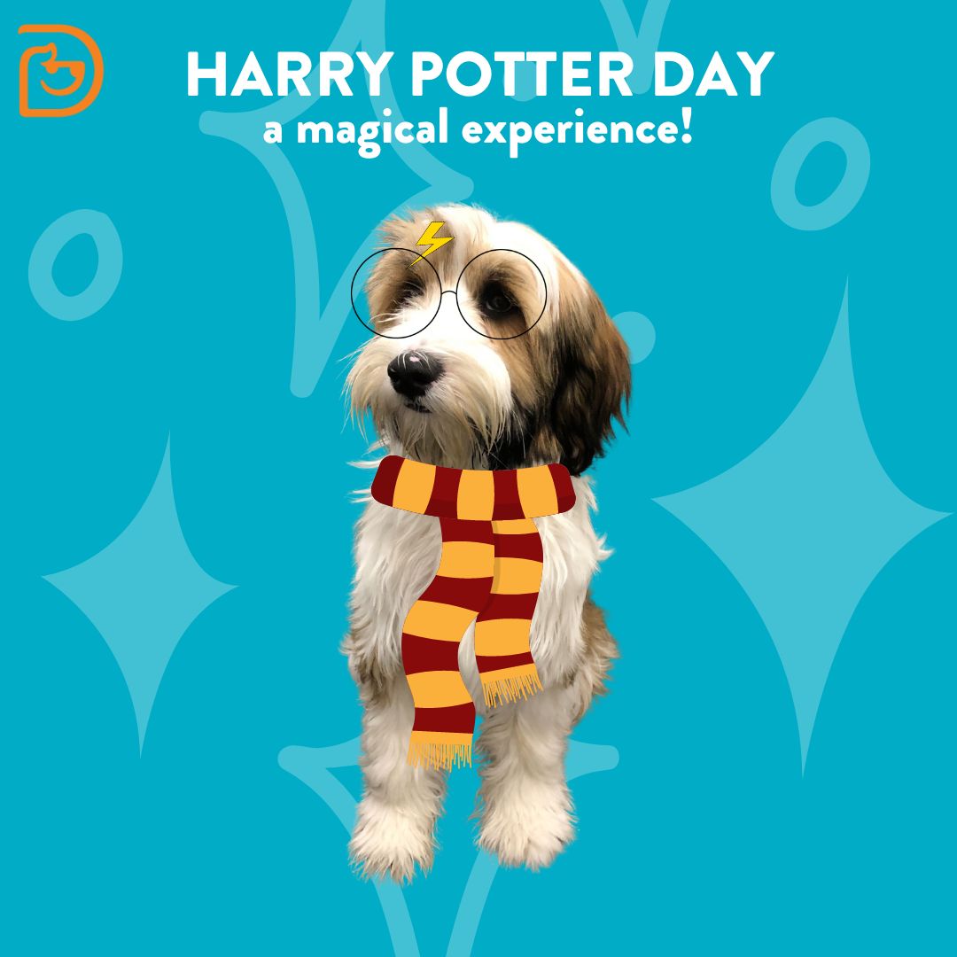 Harry Potter Day: Sorting Hat Ceremony - Downtown Orlando