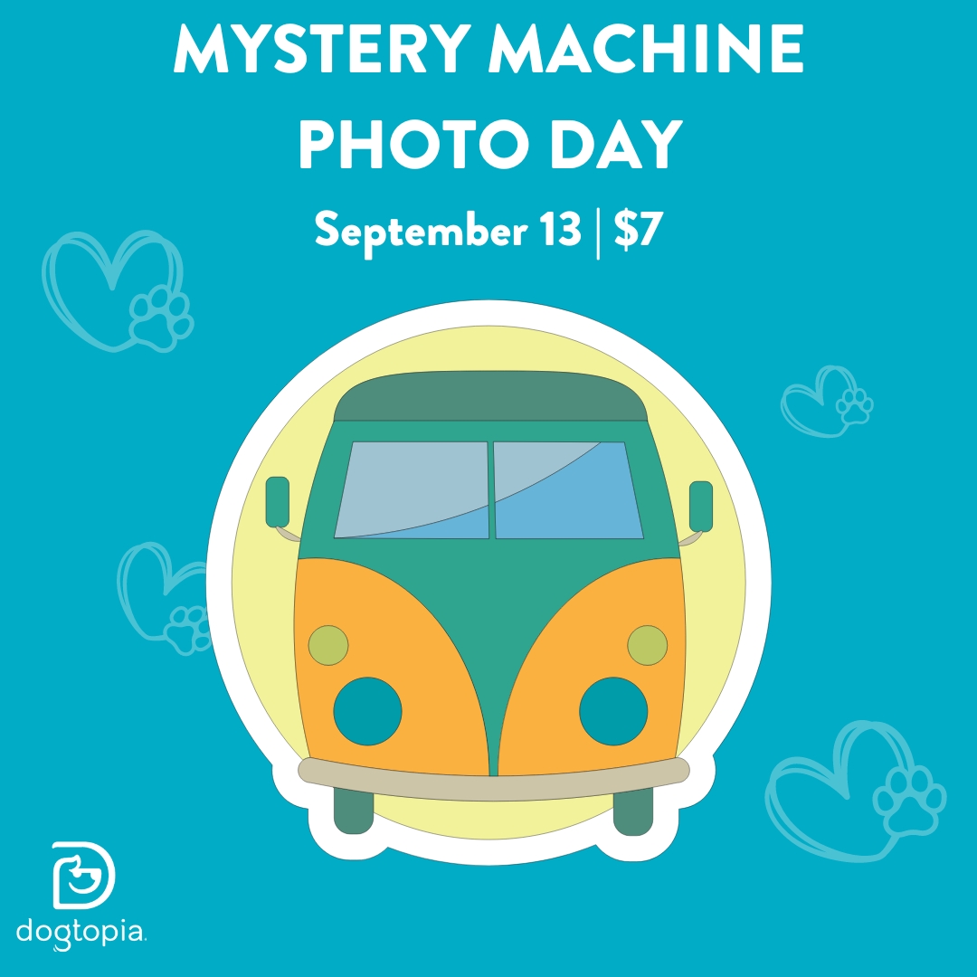 Mystery Machine Photo Day - Downtown Orlando