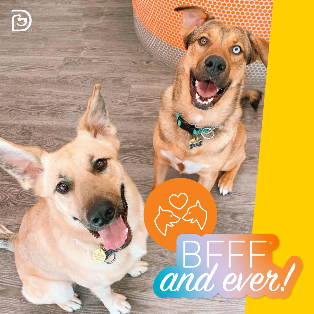 BFFFs Day - Downtown Orlando