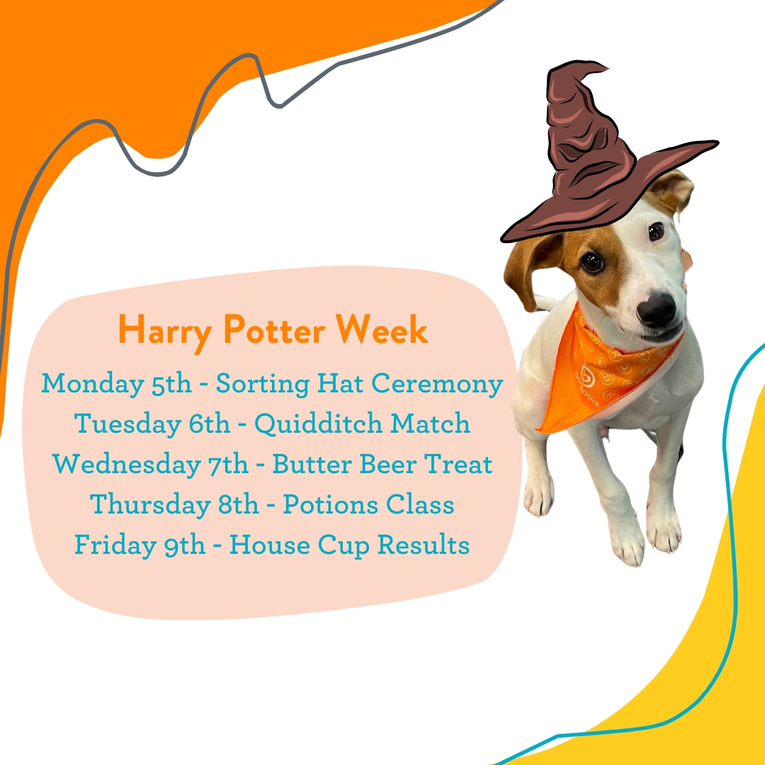 Harry Potter Week - Downtown Orlando
