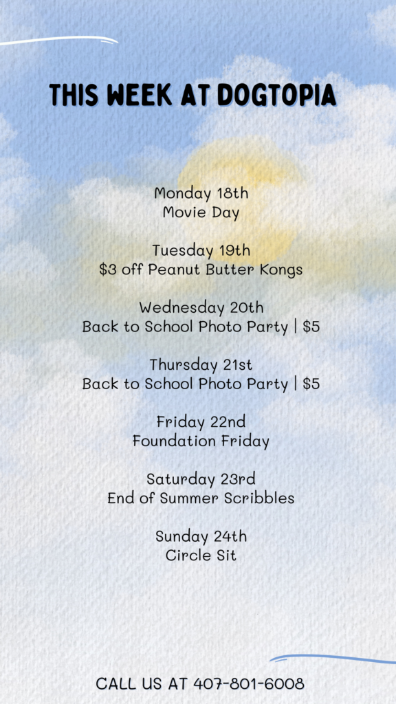 August - Week 3 - Downtown Orlando