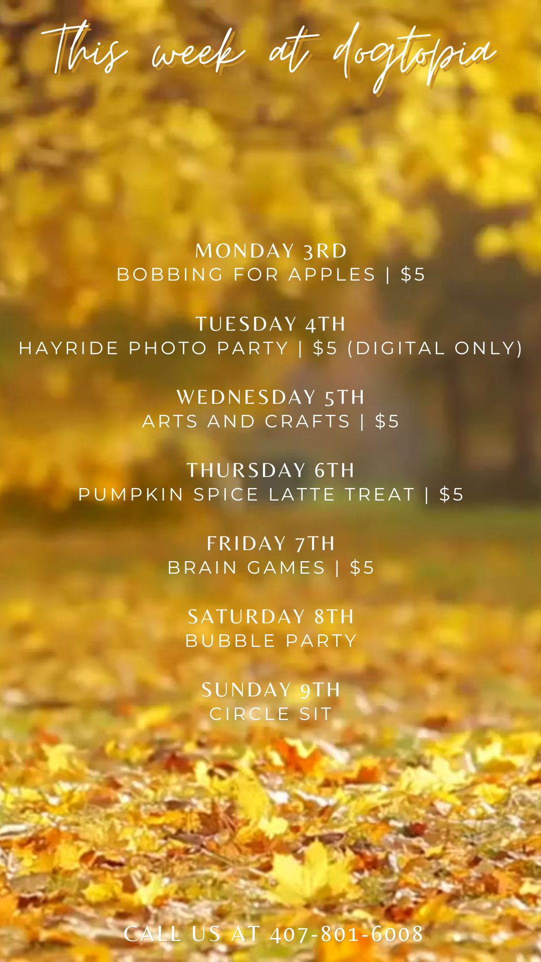 November - Week 1 - Downtown Orlando