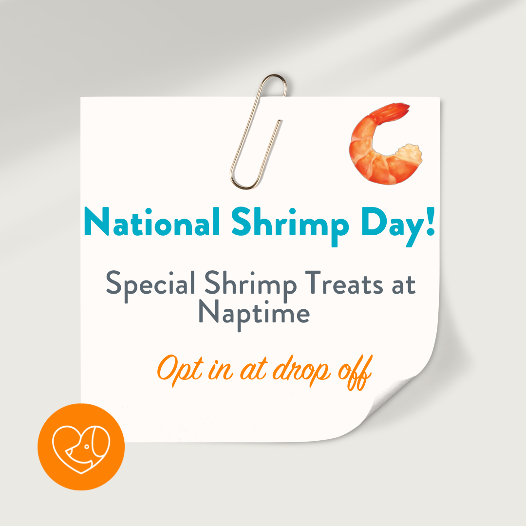 Wellness Wednesday - National Shrimp Day - Downtown Evanston