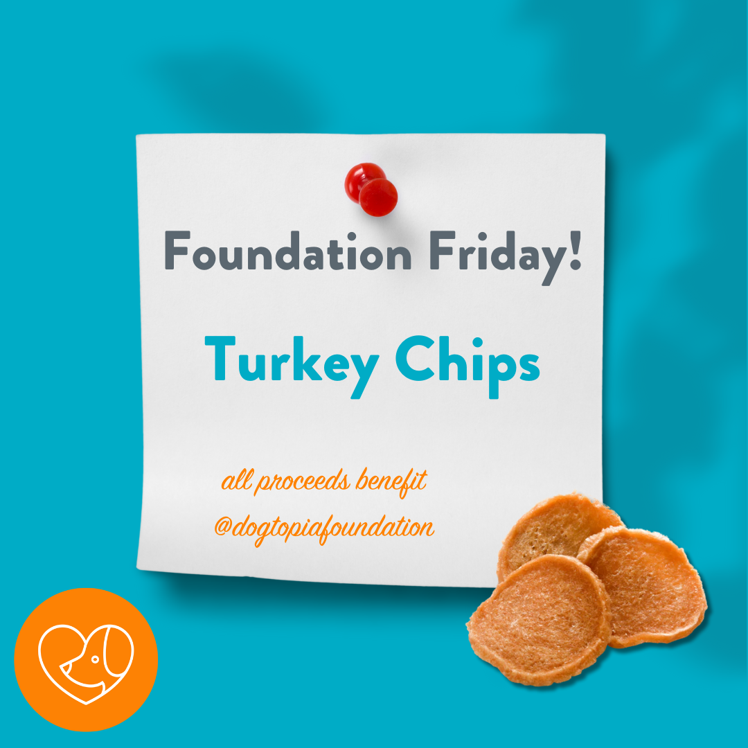 Foundation Friday Turkey Chips - Downtown Evanston