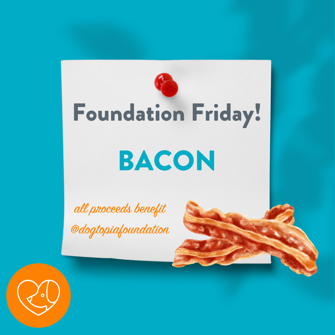 Foundation Friday Bacon - Downtown Evanston