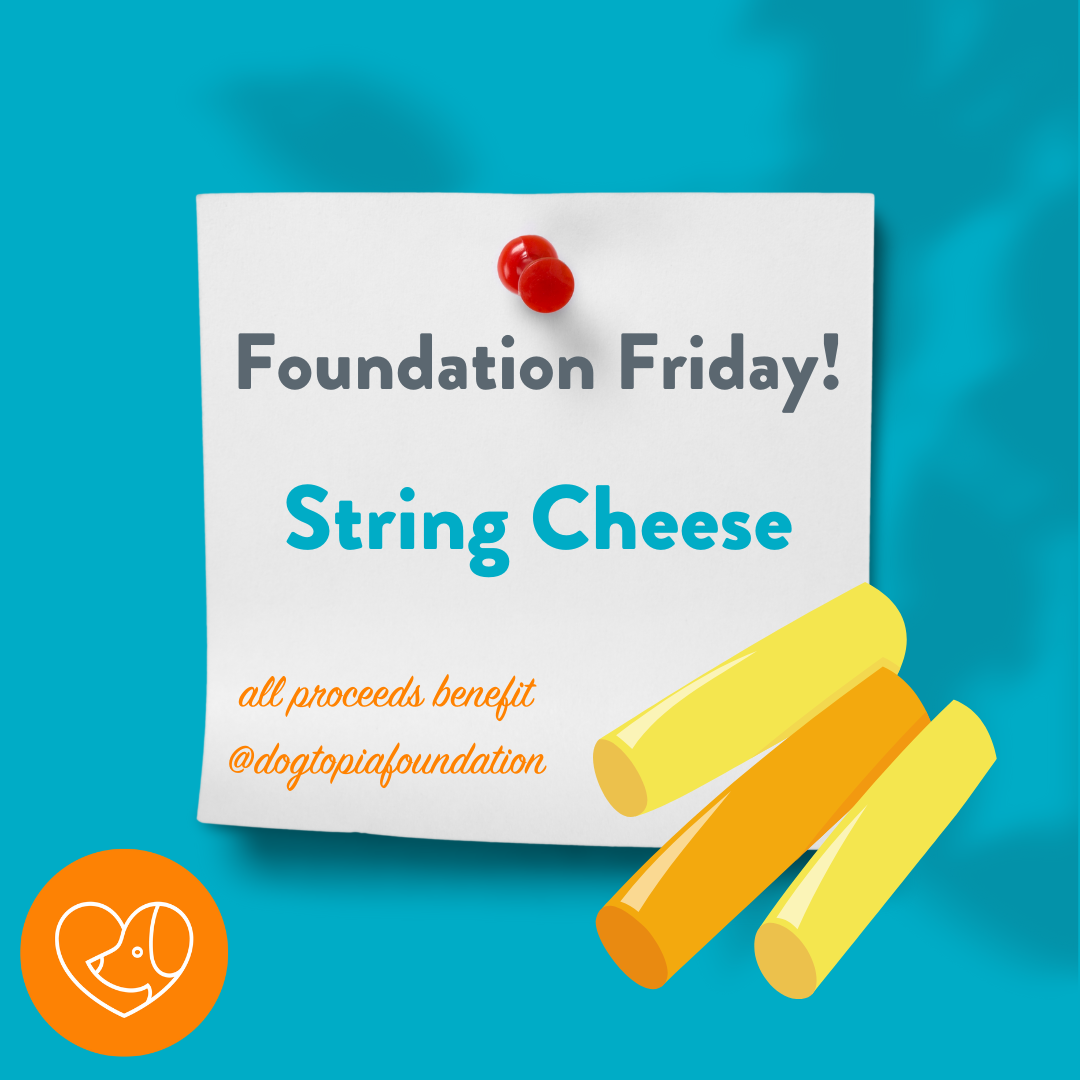 Foundation Friday Cheese - Downtown Evanston