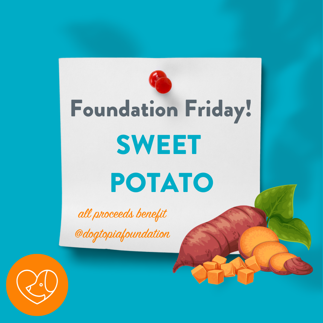 Foundation Friday Sweet Potato Treats - Downtown Evanston