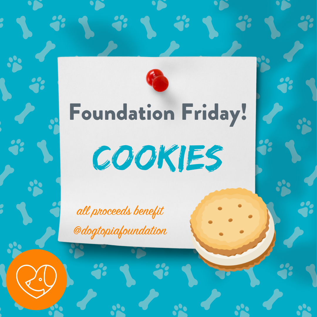 Foundation Friday Cookies - Downtown Evanston
