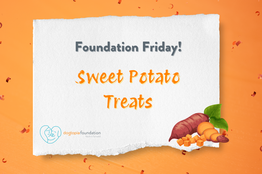 Foundation Friday Sweet Potato Treats - Downtown Evanston