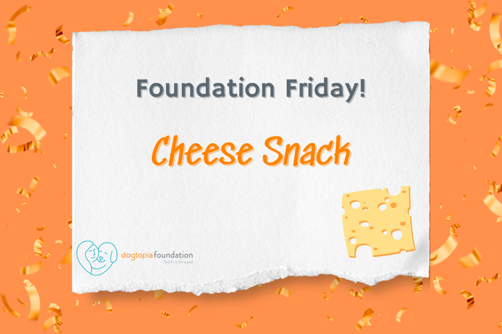 Foundation Friday Cheese Snack - Downtown Evanston