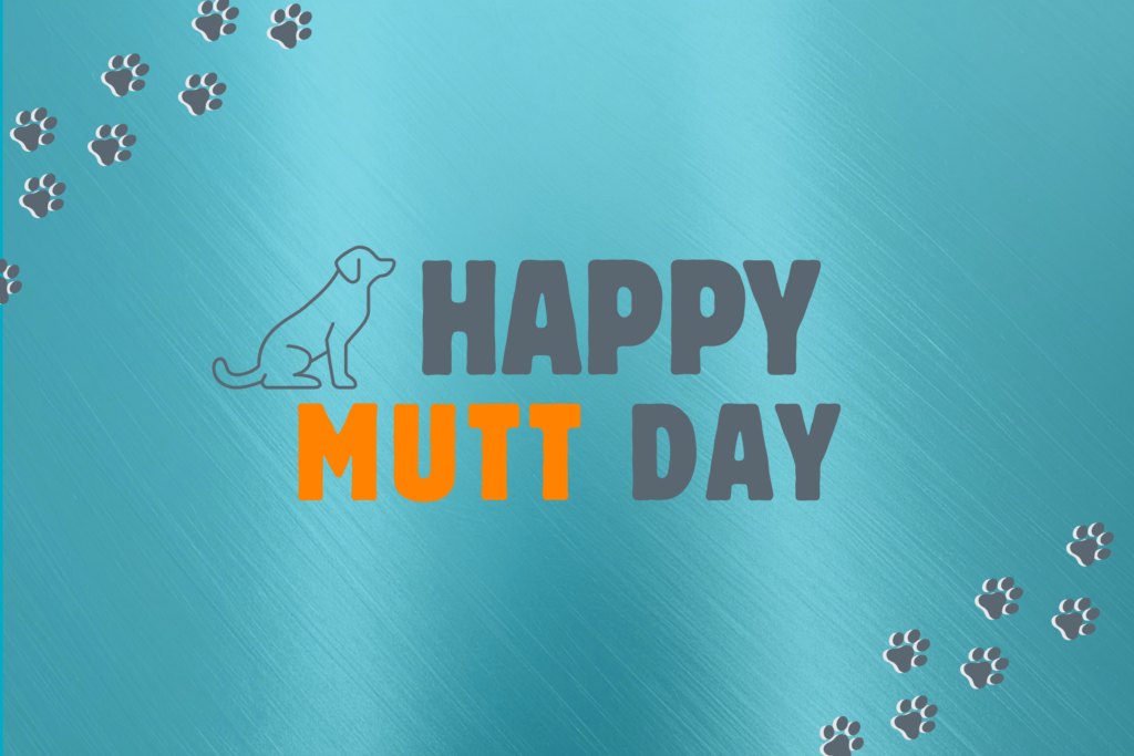 National Mutt Day - Downtown Evanston