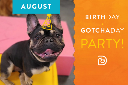 August Birthday Party - South Ann Arbor