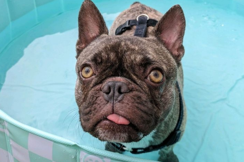 Recess Pool Party - South Ann Arbor