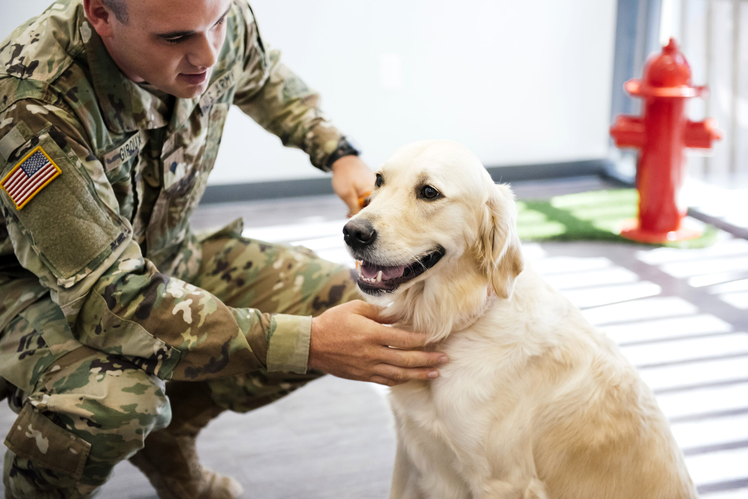 Bacon Day Celebration for Service Dog Month - Arlington-Shirlington