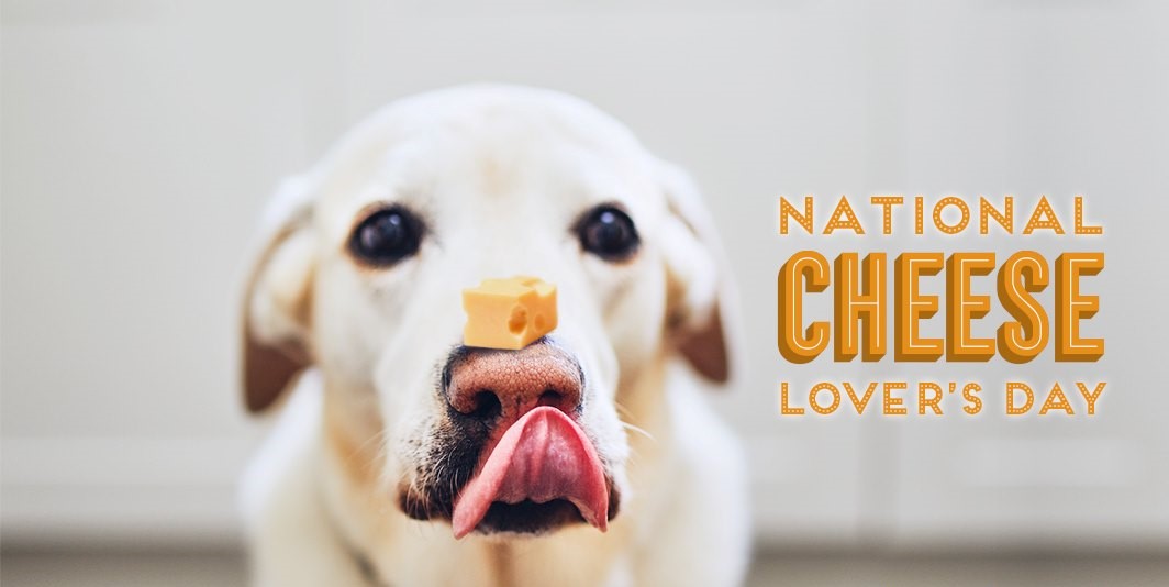 National Cheese Lovers Day! - Southlake