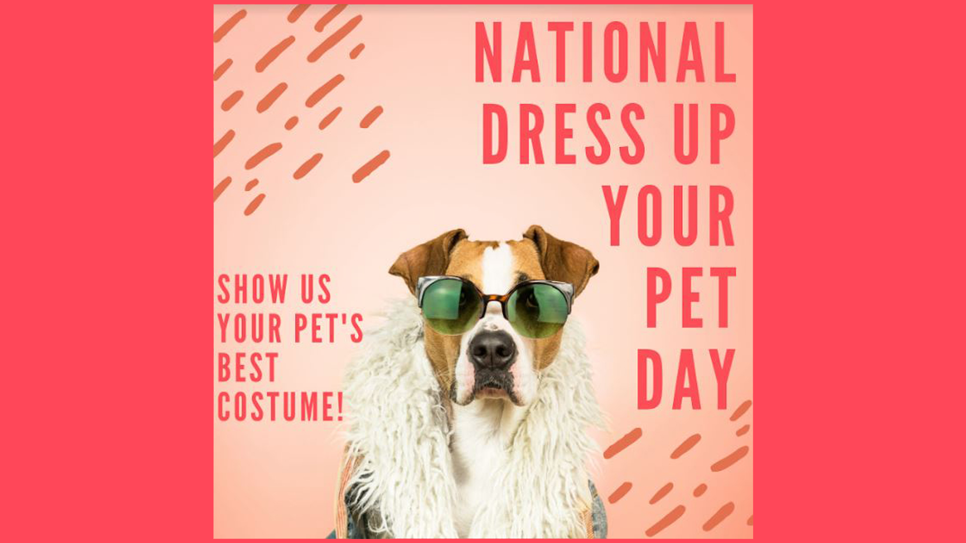 National Dress your Pet Day! - Southlake