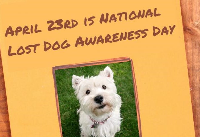 National Lost Dog Awareness Day - Southlake