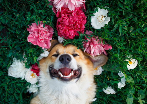Spring Photoshoot! - Southlake