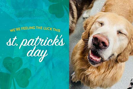 St. Patrick's Day Raffle - Roseville