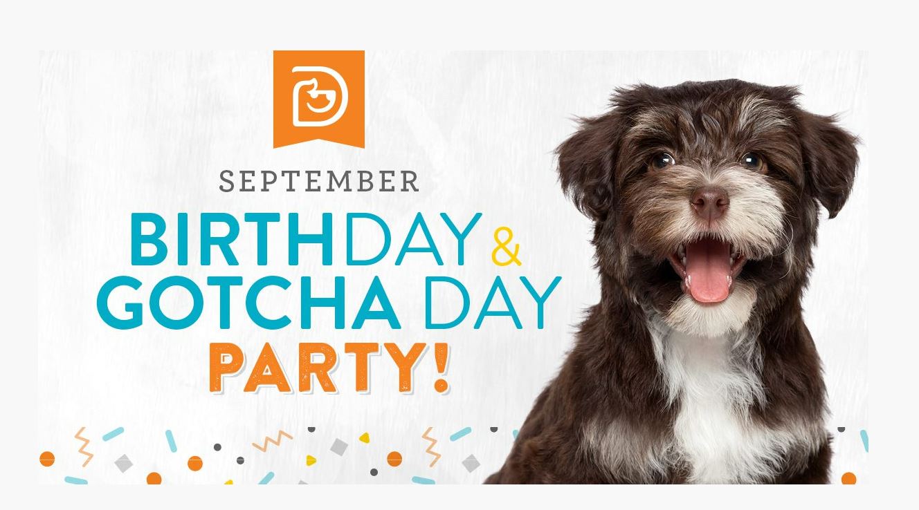 September Birthday + Gotcha Day Party - Roseville