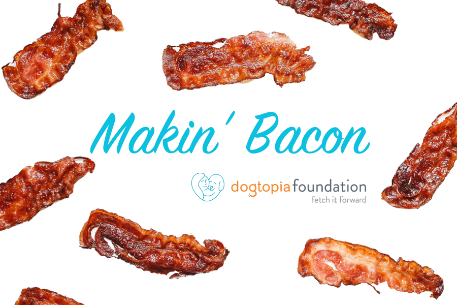 Makin' Bacon For The Foundation - Roseville