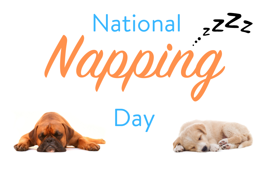 National Napping Day - Roseville