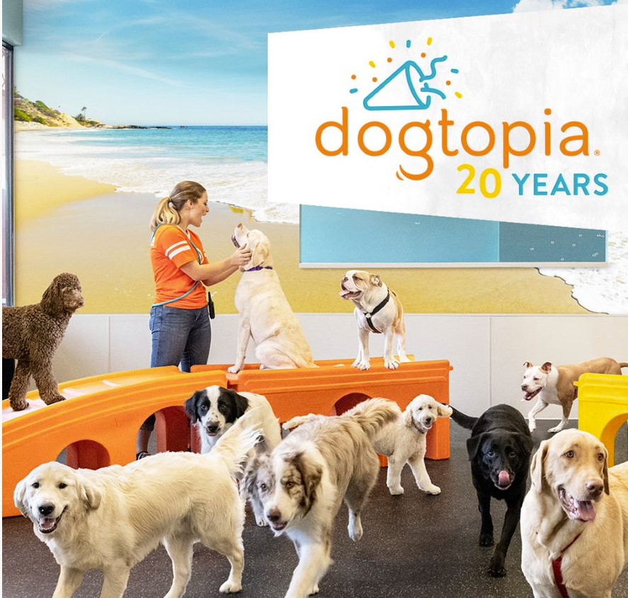 Guinness World Record Event! - The Woodlands West