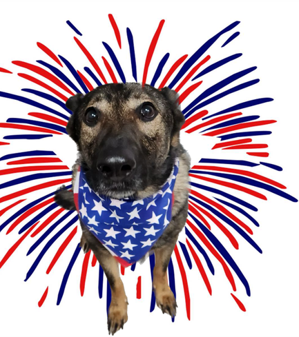 Bathe It Forward! - The Woodlands West