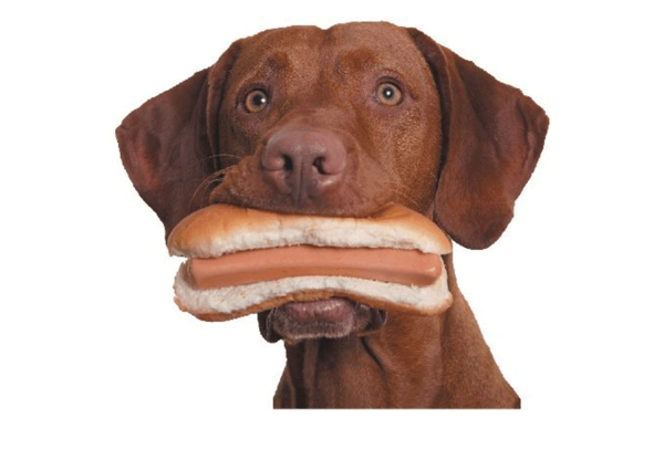 National Hot Dog Day! - The Woodlands West