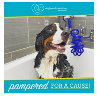 Bathe It forward! - The Woodlands West