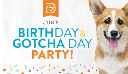 June Party! - The Woodlands West
