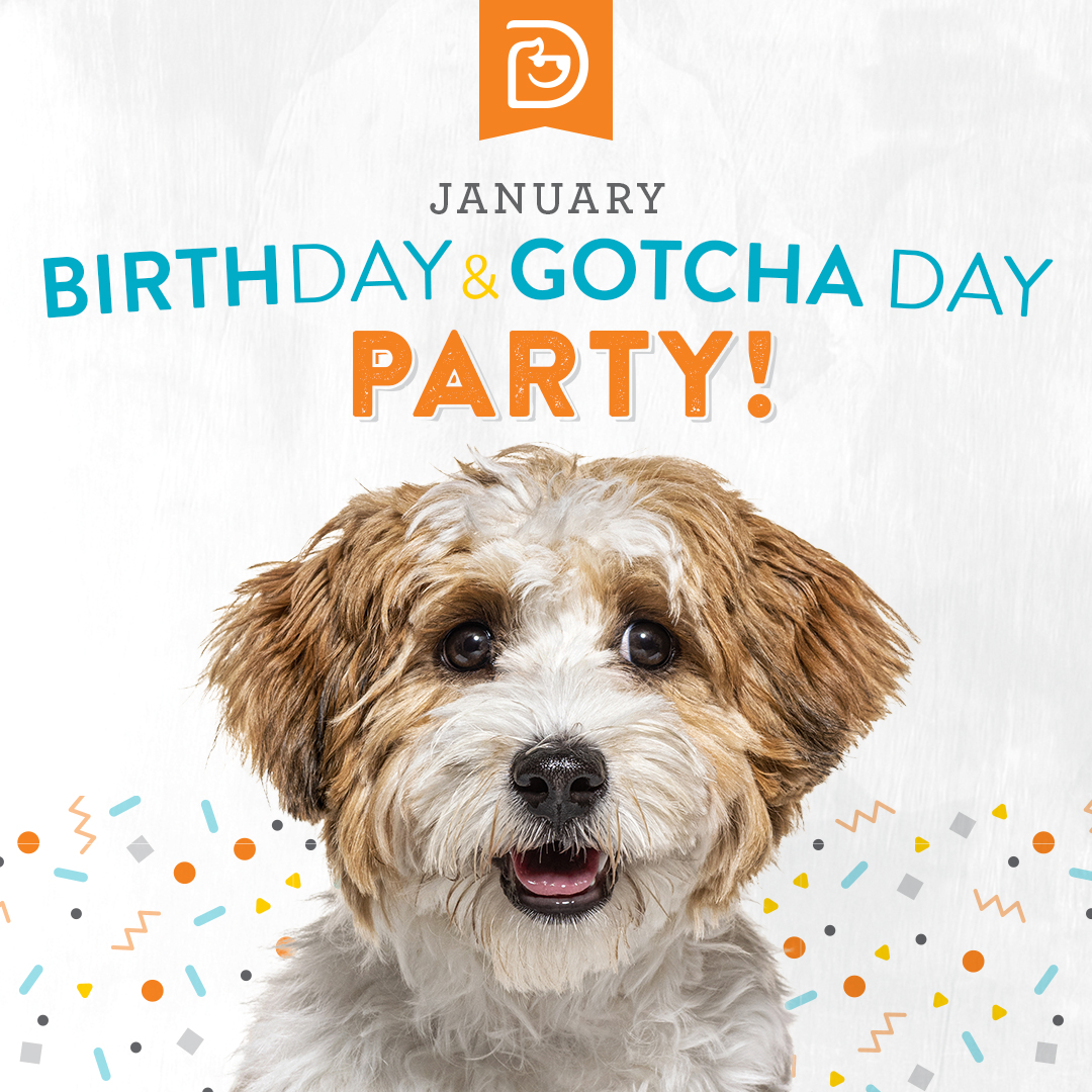January Birthday and Gotcha Day Photos: Day 1 - Pearl District