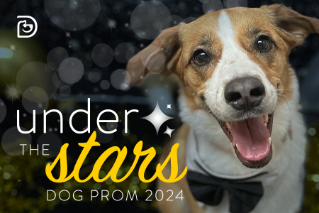 Dog Prom: Under the Stars - Old Bridge