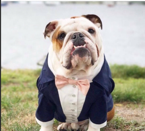 SNOWBALL FORMAL WEEK! SIGN UP FOR YOUR PHOTO DAY! - Greensburg