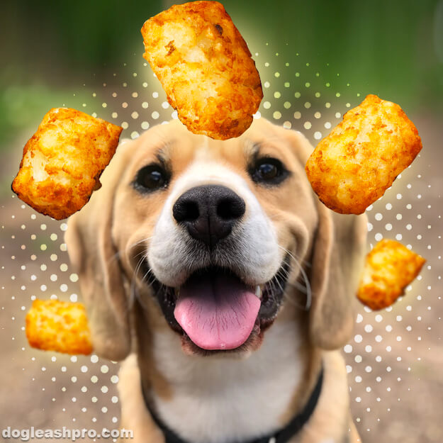 NATIONAL TATER TOT DAY! - Greensburg