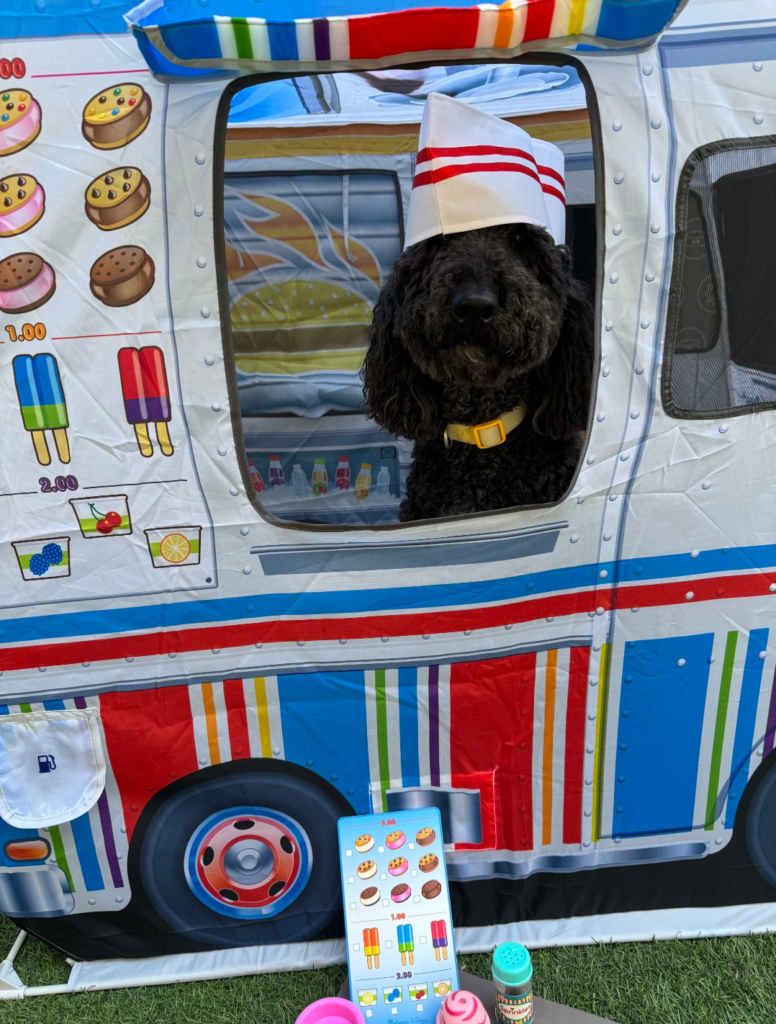 Ice Cream Truck Photos! - Short Pump