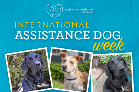 National Work Like a Dog Day - Easton