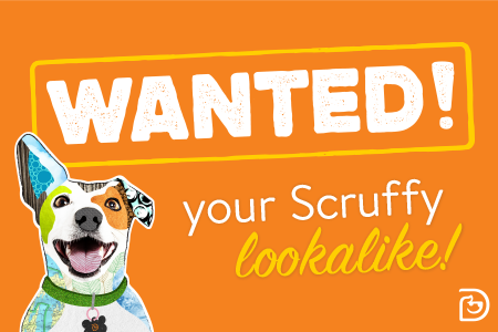 Scruffy Look Alike Contest - Easton