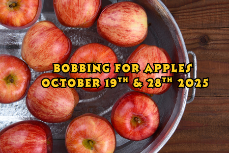 Bobbing for Apples! - Easton