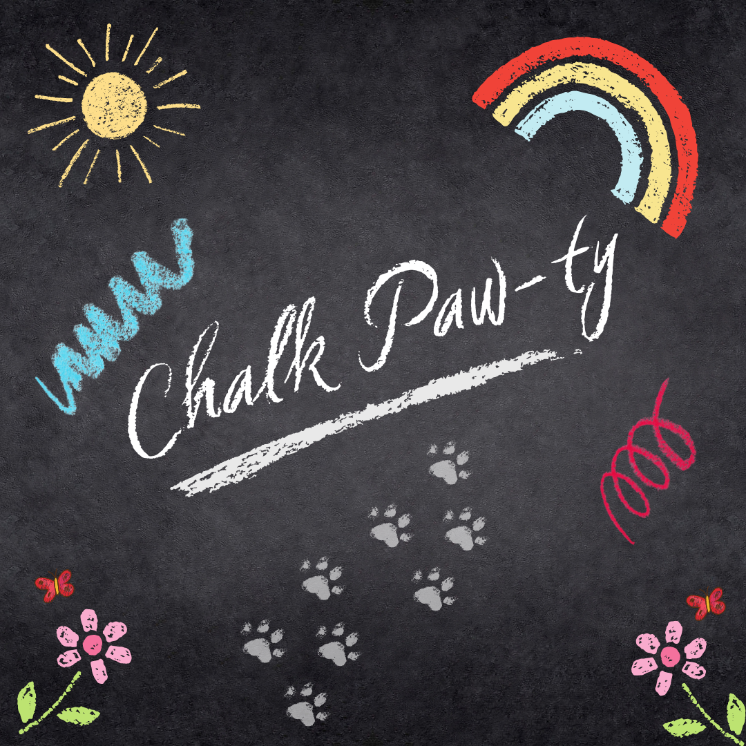 Chalk Party - San Antonio - Northwest