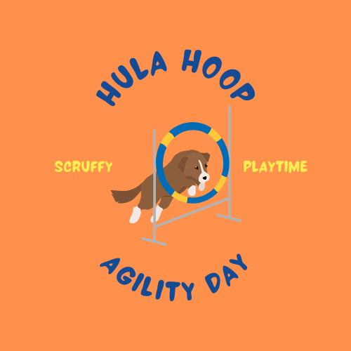 Hula Hoop Day - San Antonio - Northwest