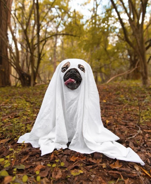 SPOOOOOKY Ghost Photo Shoot! - Long Island City