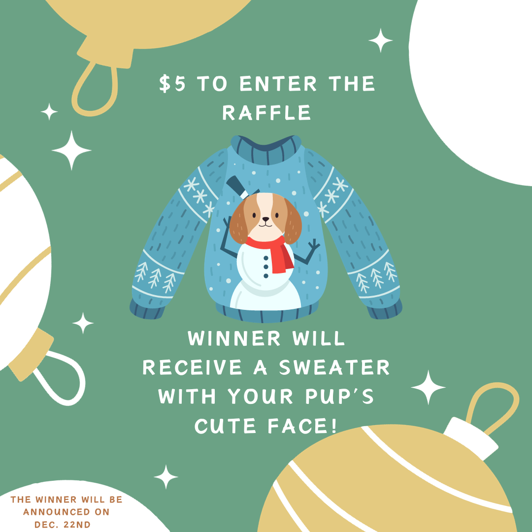 Holiday Raffle - Long Island City
