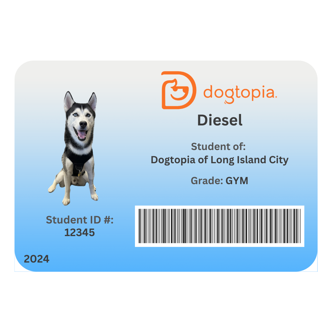 School ID Cards - Long Island City
