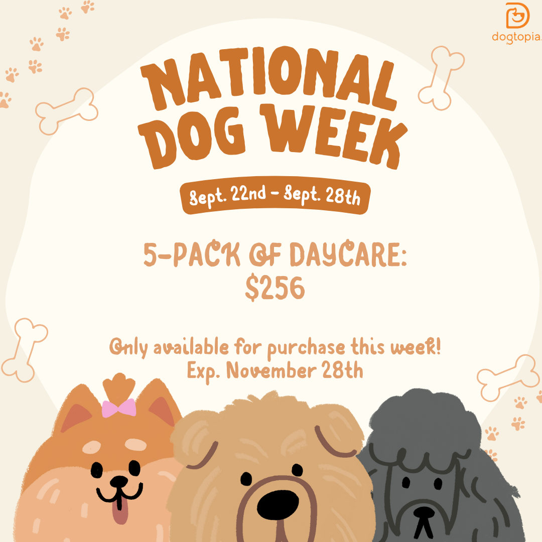 National Dog Week! - Long Island City
